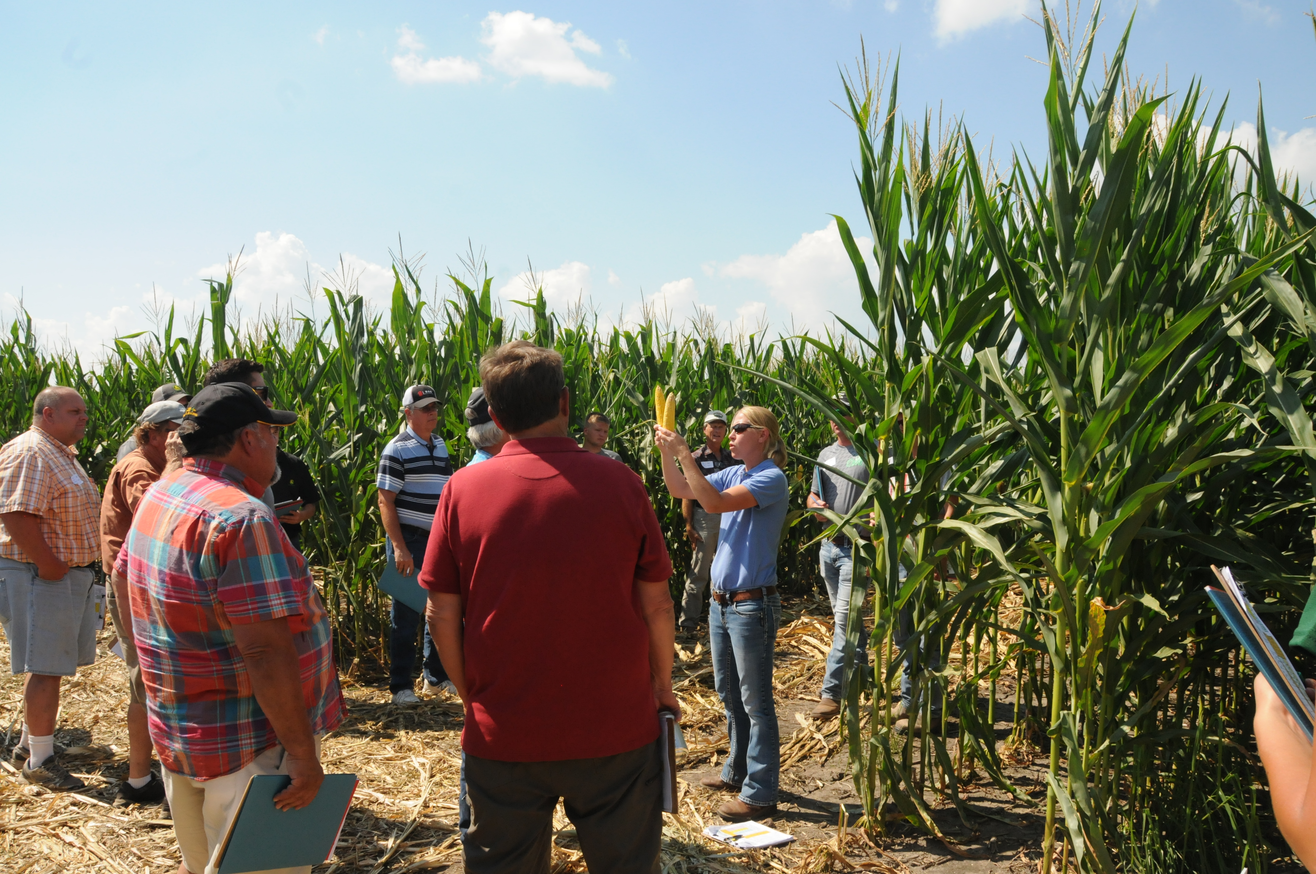 Corn & Soybean College – Crop-Tech Consulting