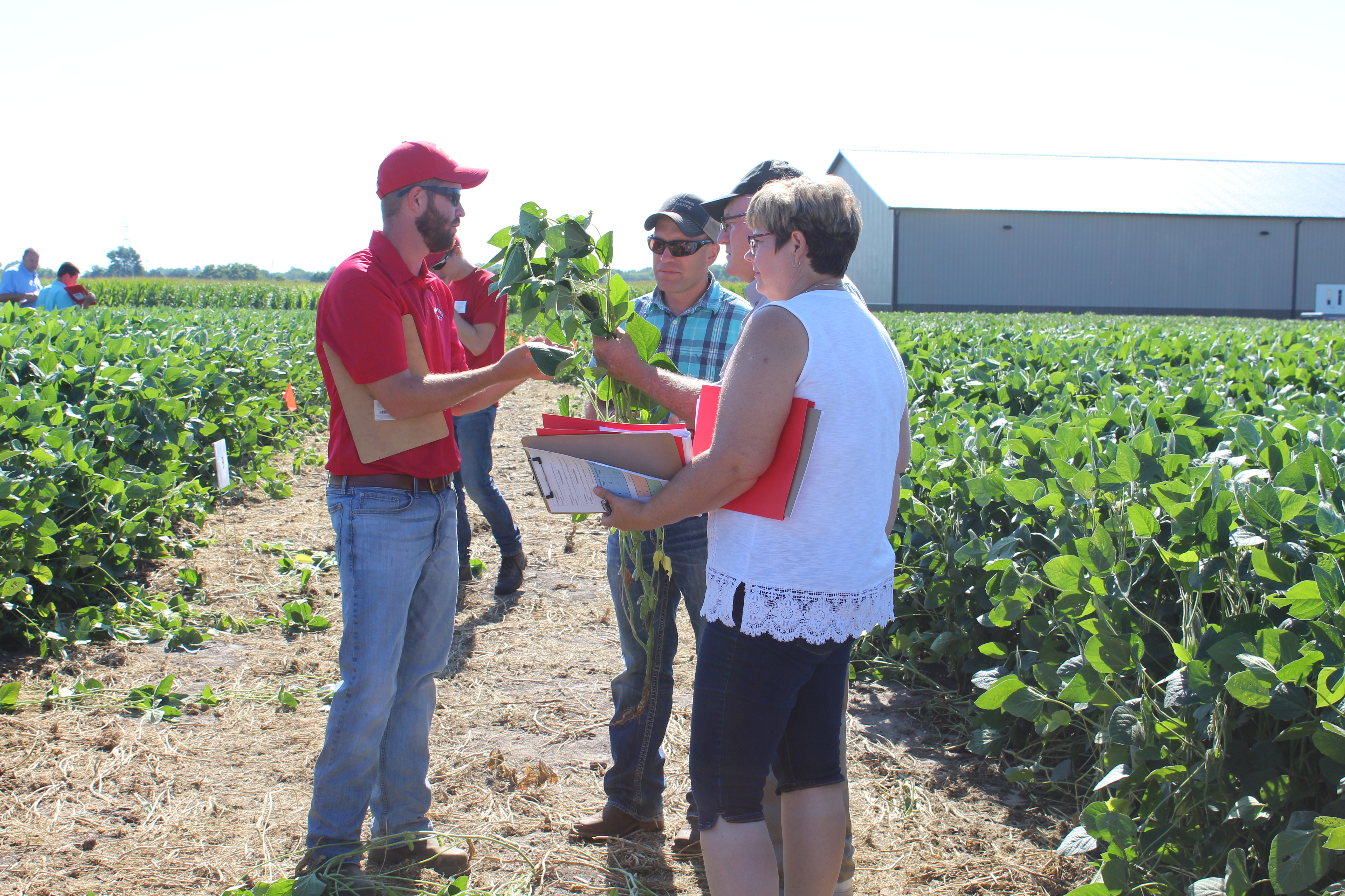 Corn & Soybean College – Crop-Tech Consulting