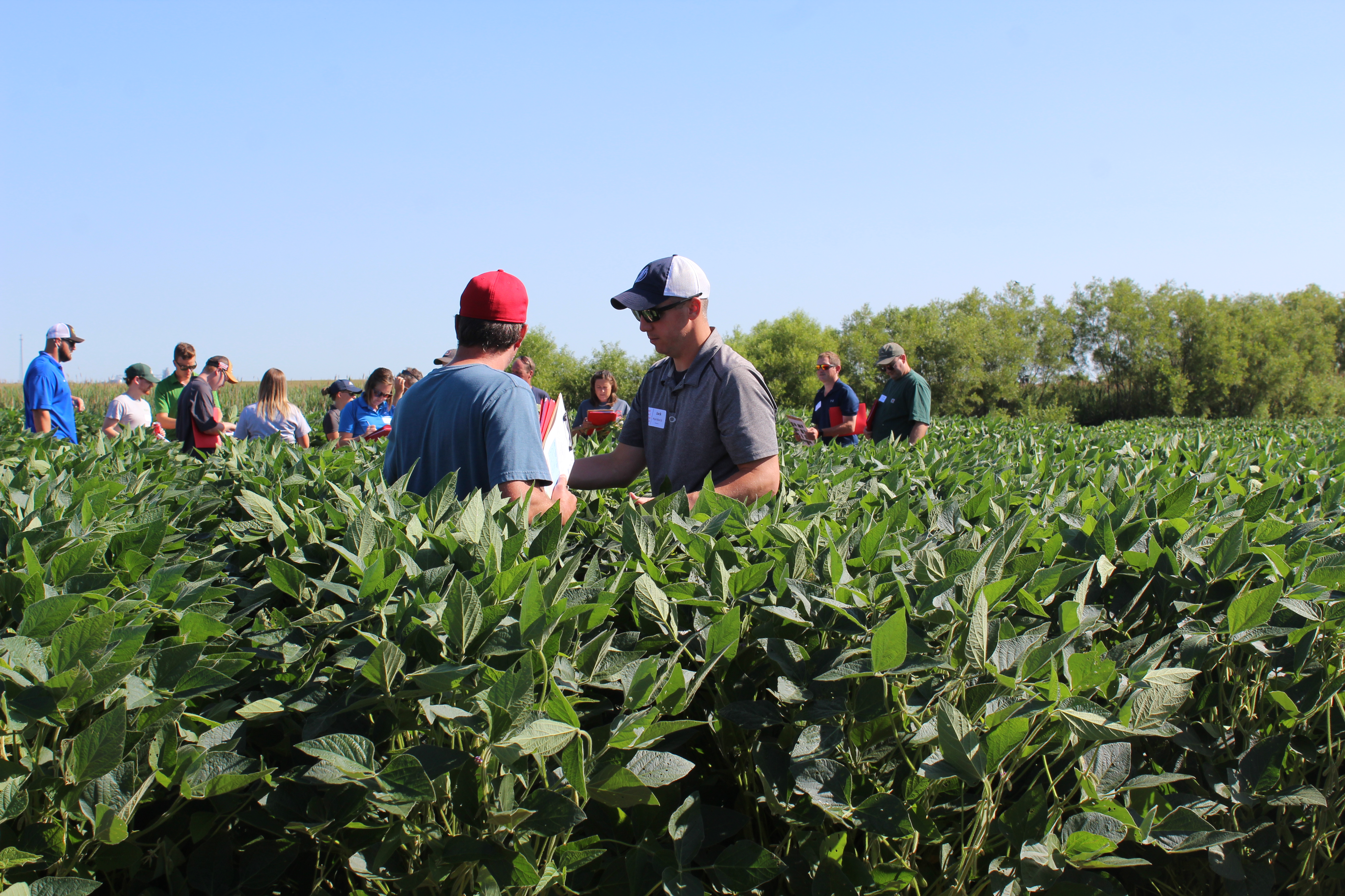Corn & Soybean College – Crop-Tech Consulting