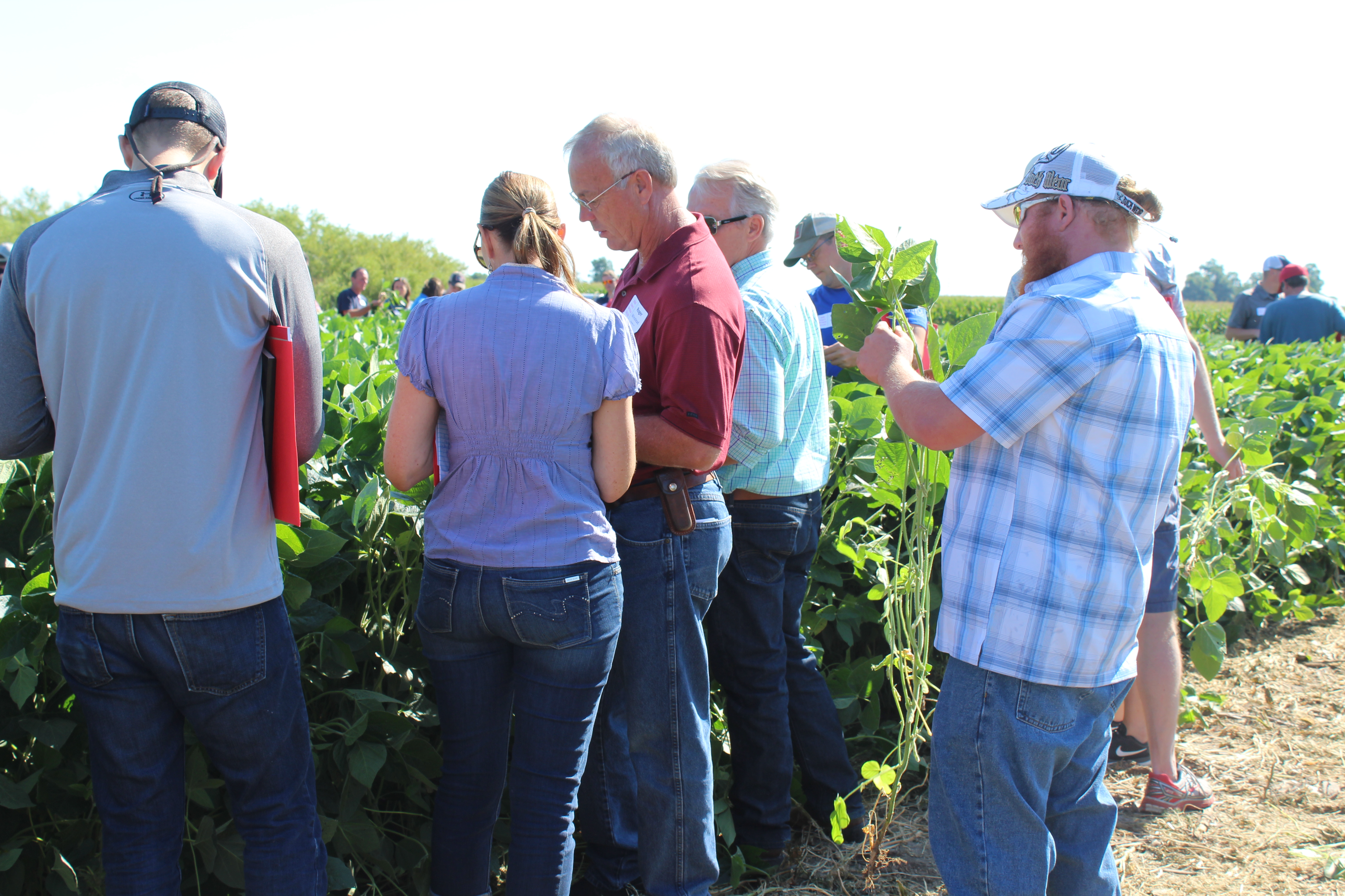Corn & Soybean College – Crop-Tech Consulting