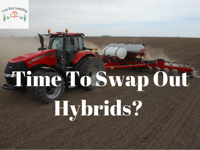 hybrid selection – Crop-Tech Consulting