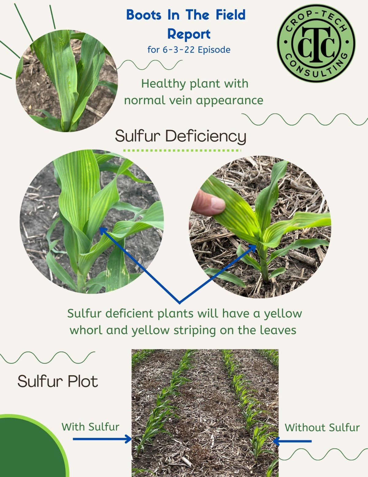 What’s New? – Crop-Tech Consulting
